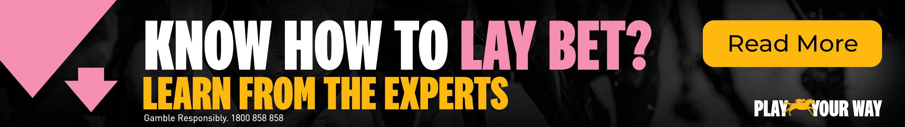 Staking & Money Management | Betfair Education | Betfair Hub