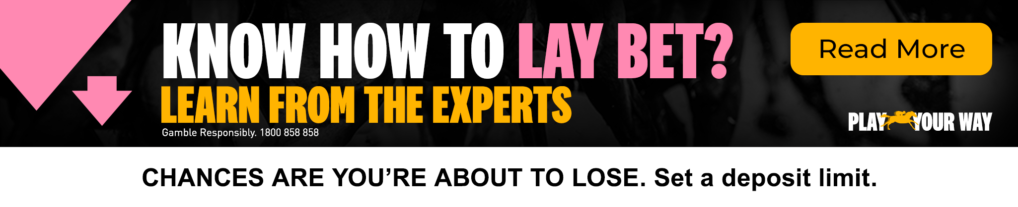 Lay Of The Day | Free Racing Lay Tips | Betfair Hub