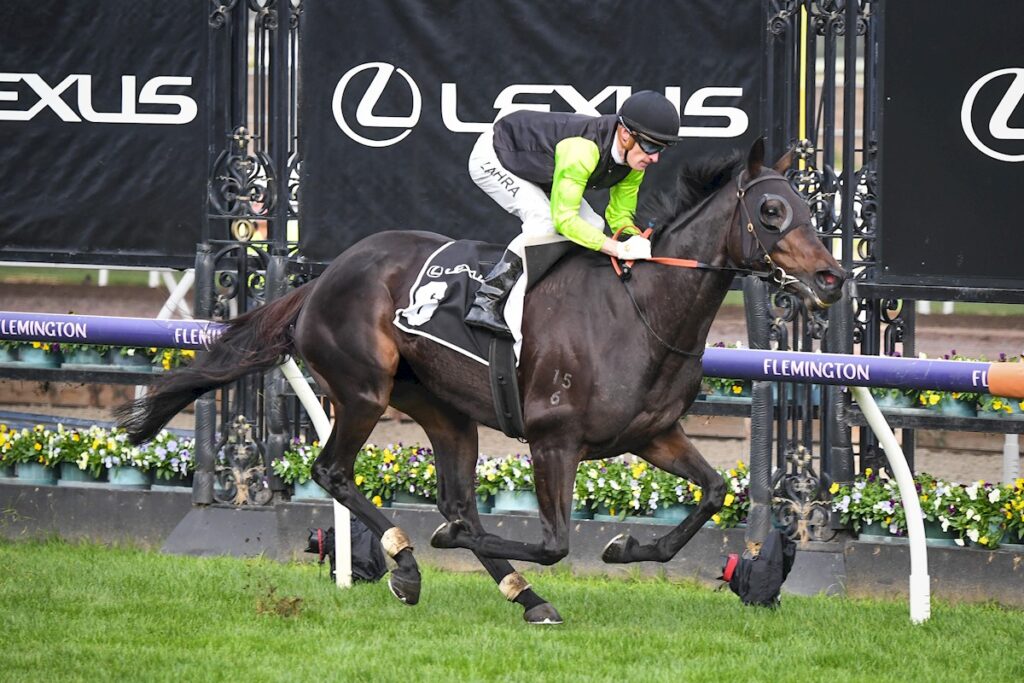 Melbourne Cup 2023 Tips | Expert Betting Advice | Betfair Hub