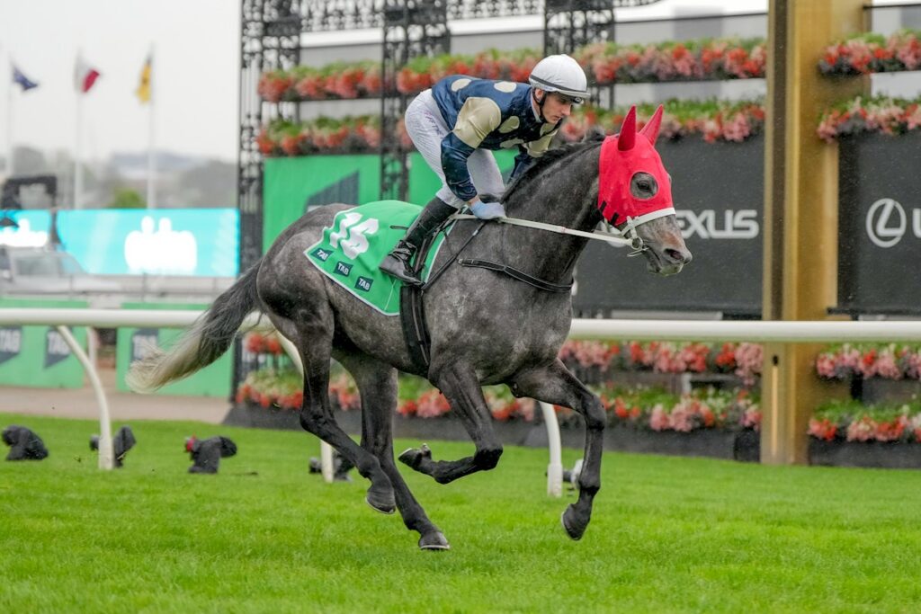 Melbourne Cup 2025 Tips | Race Previews & Best Bets
