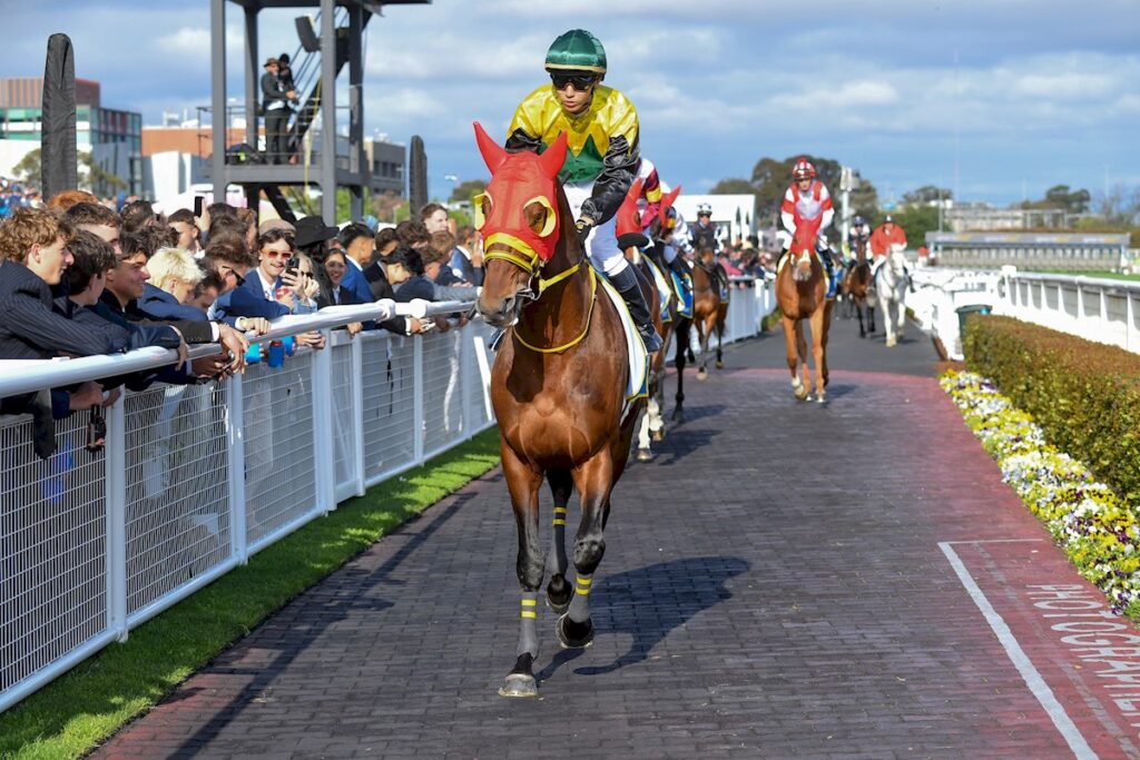 Melbourne Cup 2025 Tips | Race Previews & Best Bets
