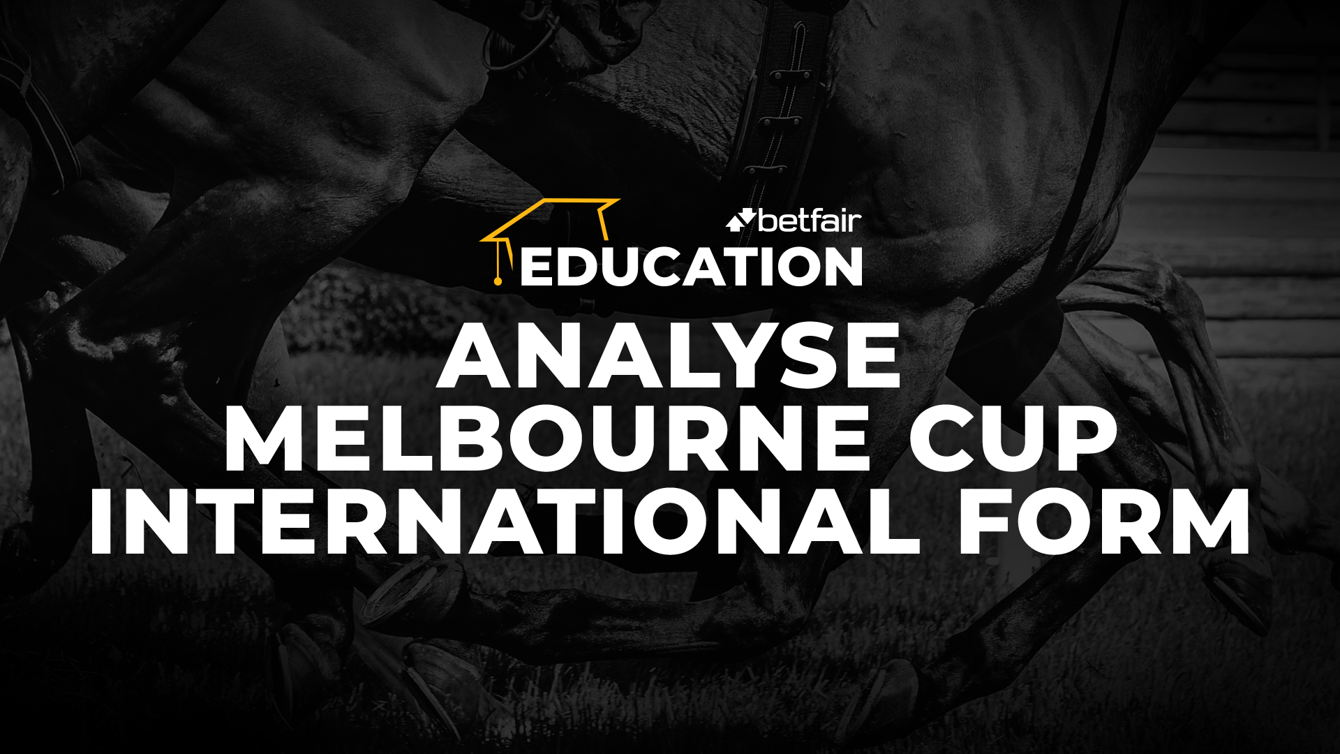 How To | Analyse Melbourne Cup International Form | Betfair Hub