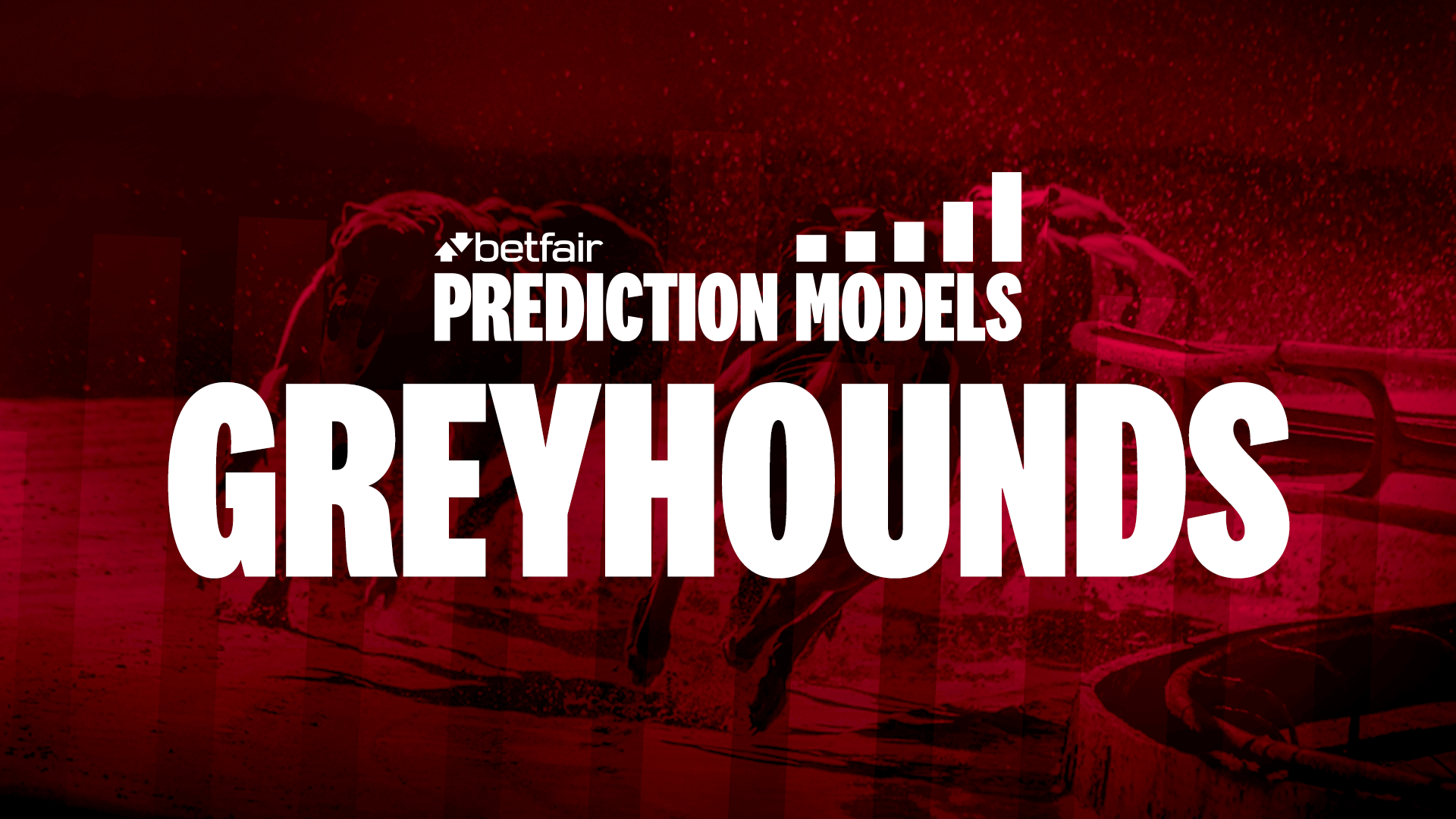 Greyhound Predictor Model | Expert Greyhound Predictions | Betfair Hub