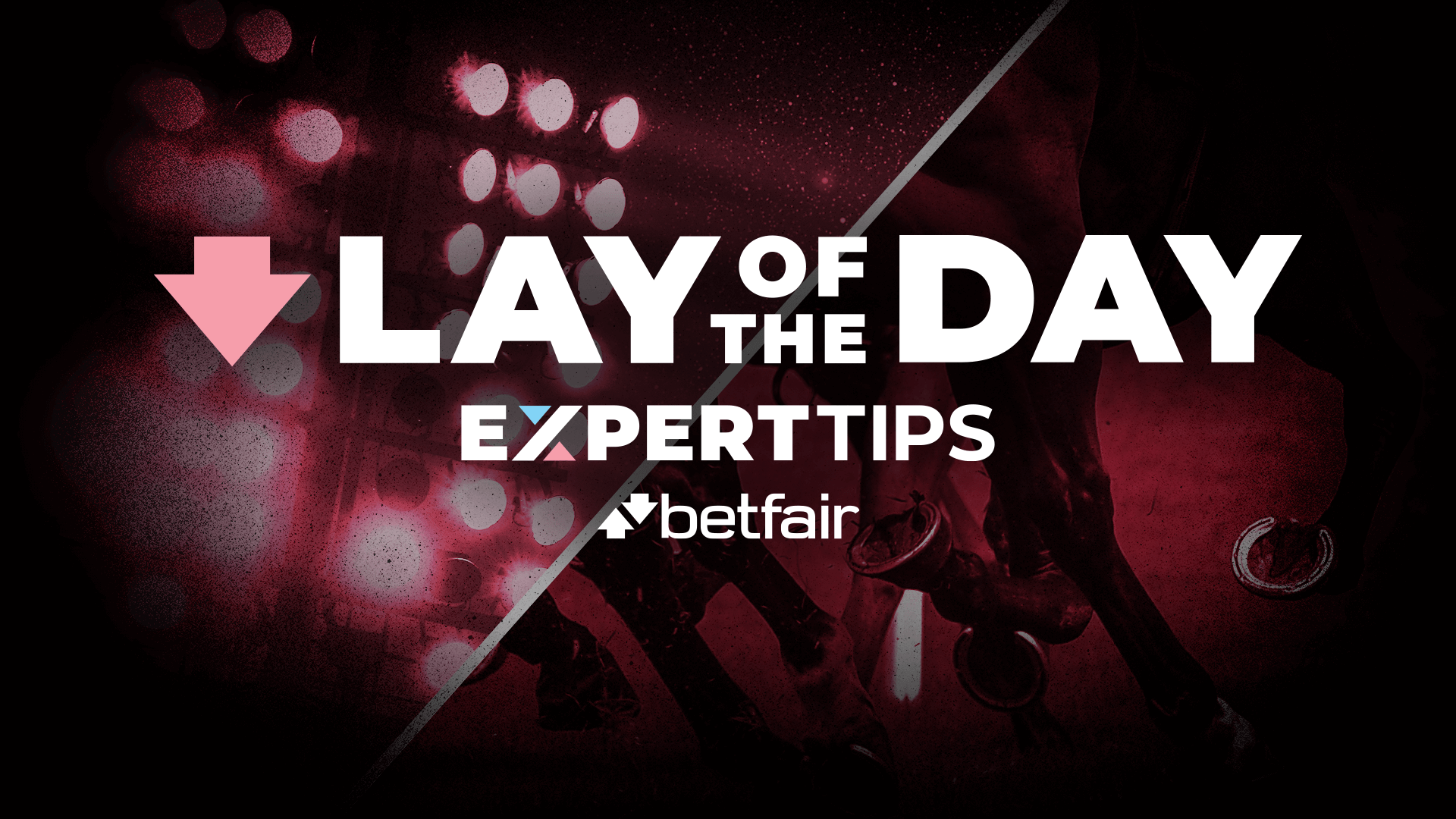 Lay Of The Day | Free Racing Lay Tips | Betfair Hub