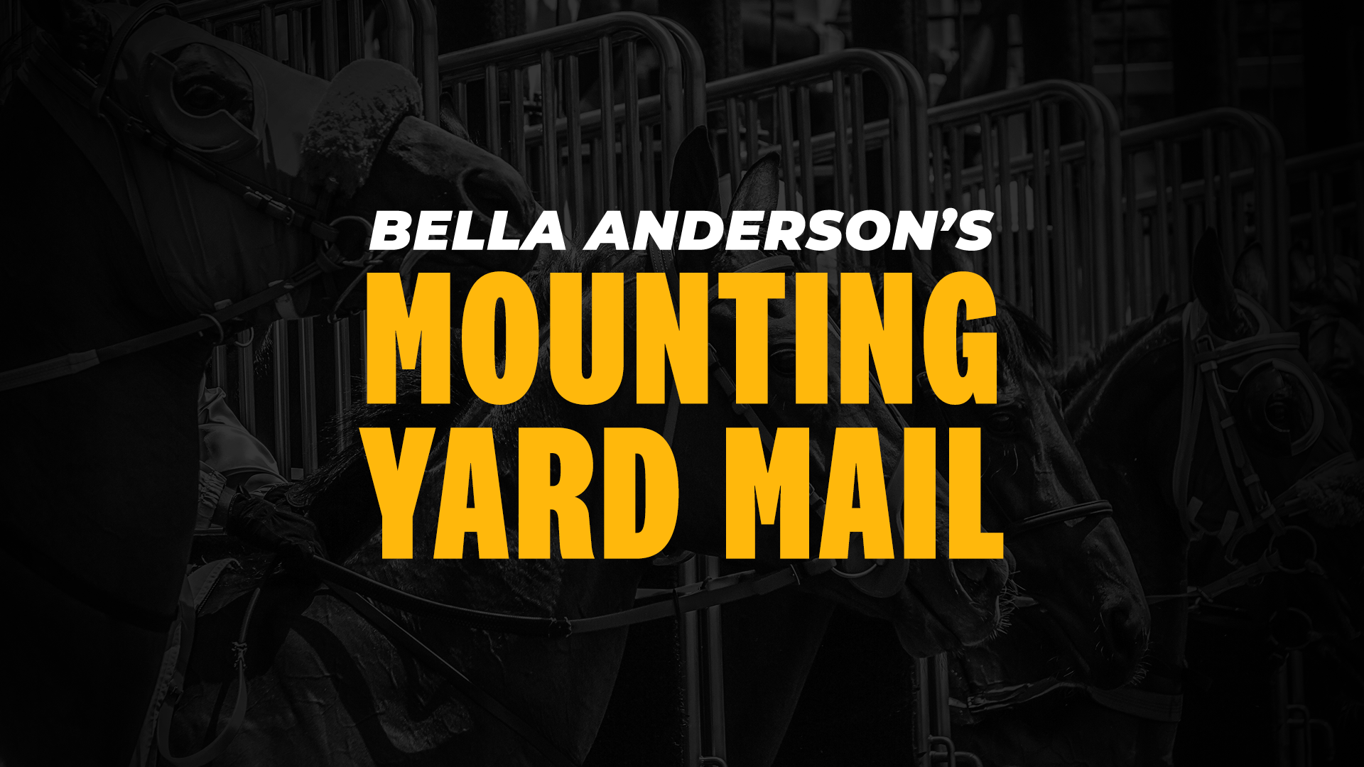 Bella Anderson's Mounting Yard Mail | Preview & Live Bets