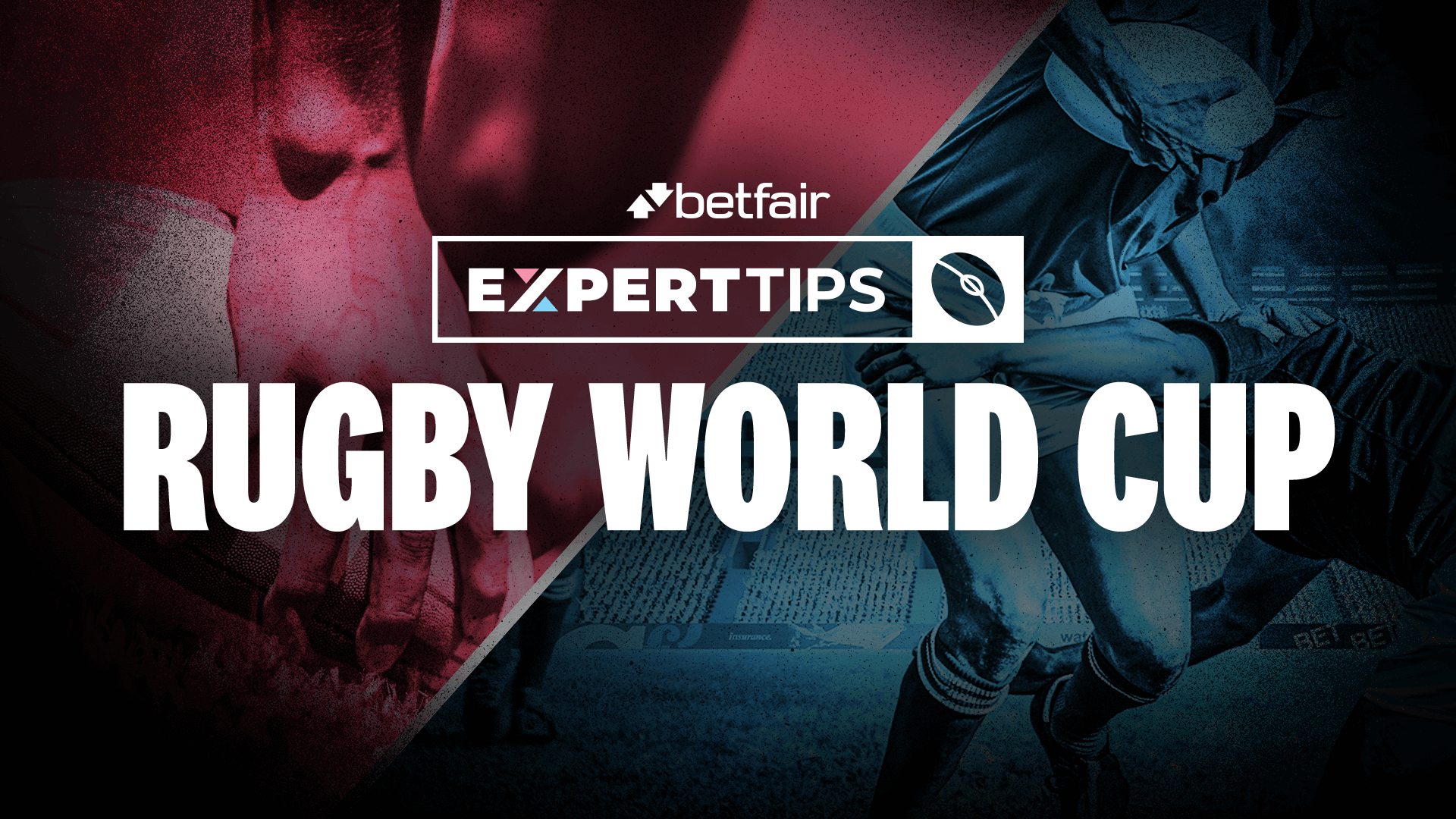 Rugby World Cup Tips | 2023 World Cup Predictions | Betfair Hub