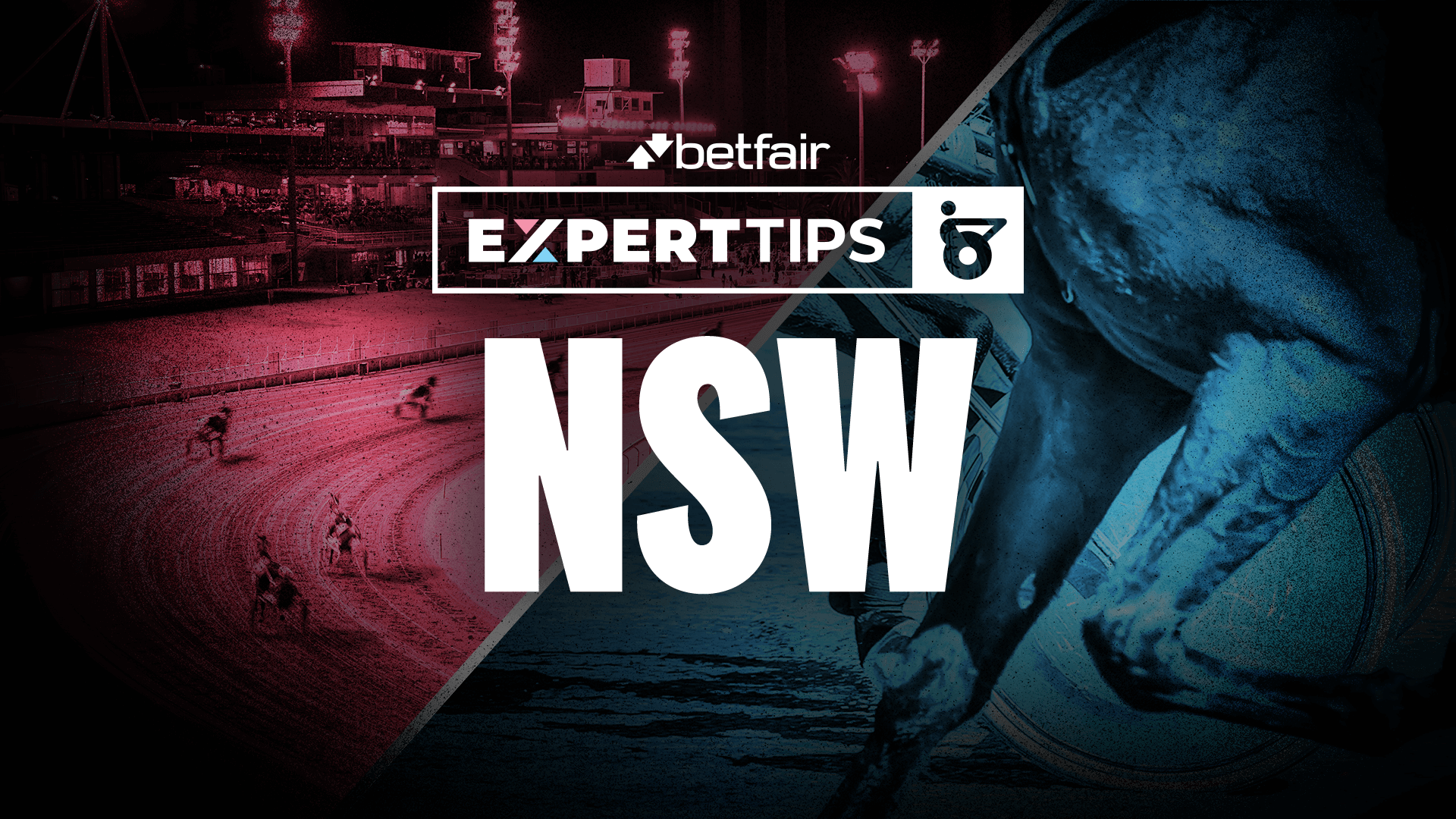 NSW Harness Racing Tips | Preview & Best Bets | Betfair Hub