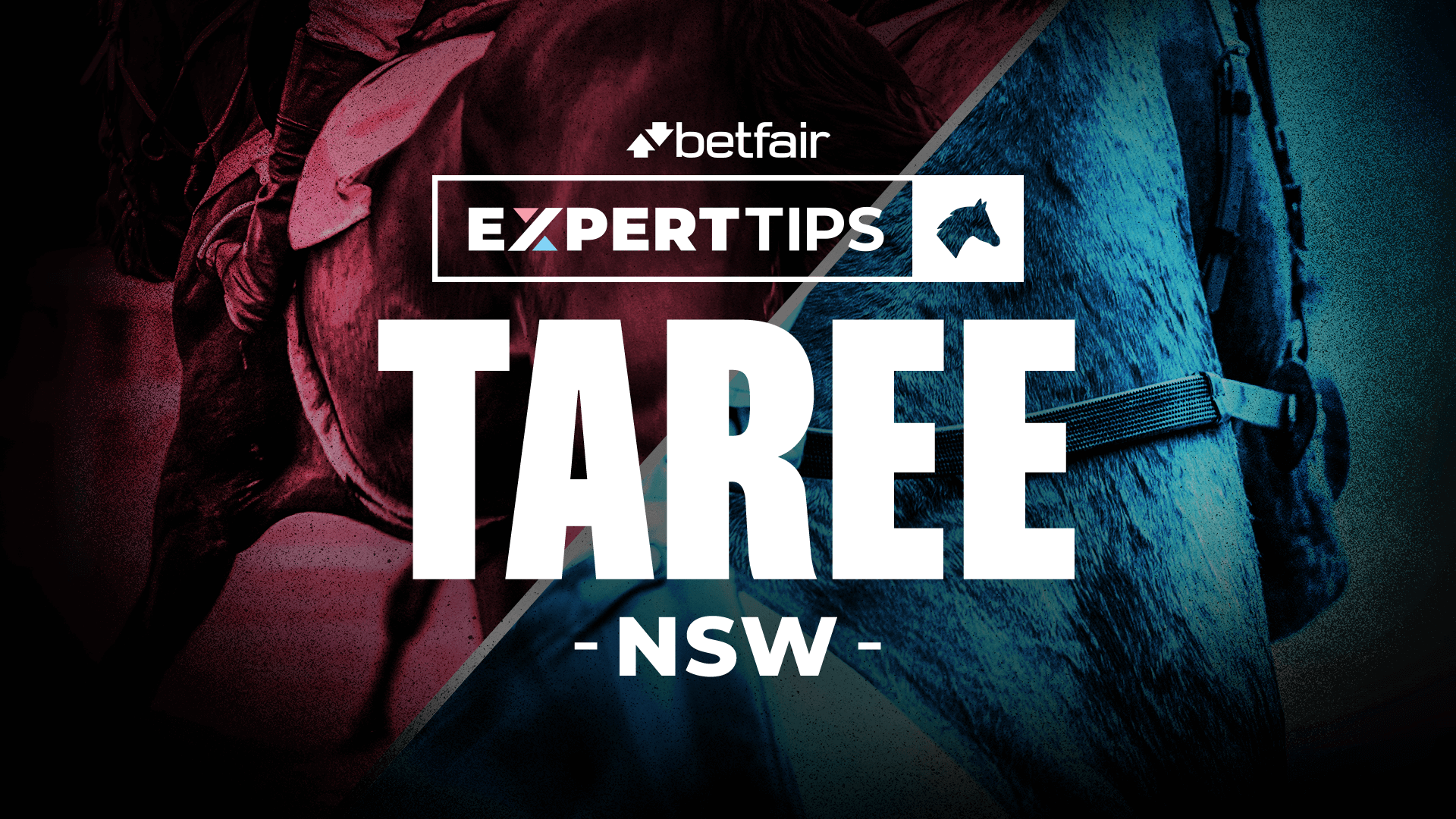Taree Racing Tips | Preview & Best Bets | Betfair Hub